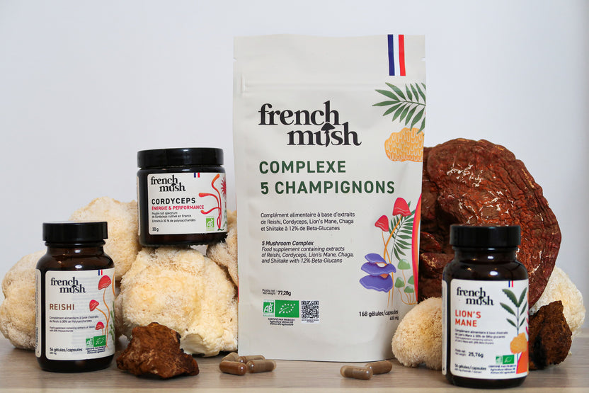 Champignons adaptogènes français, boutique en ligne, French Mush